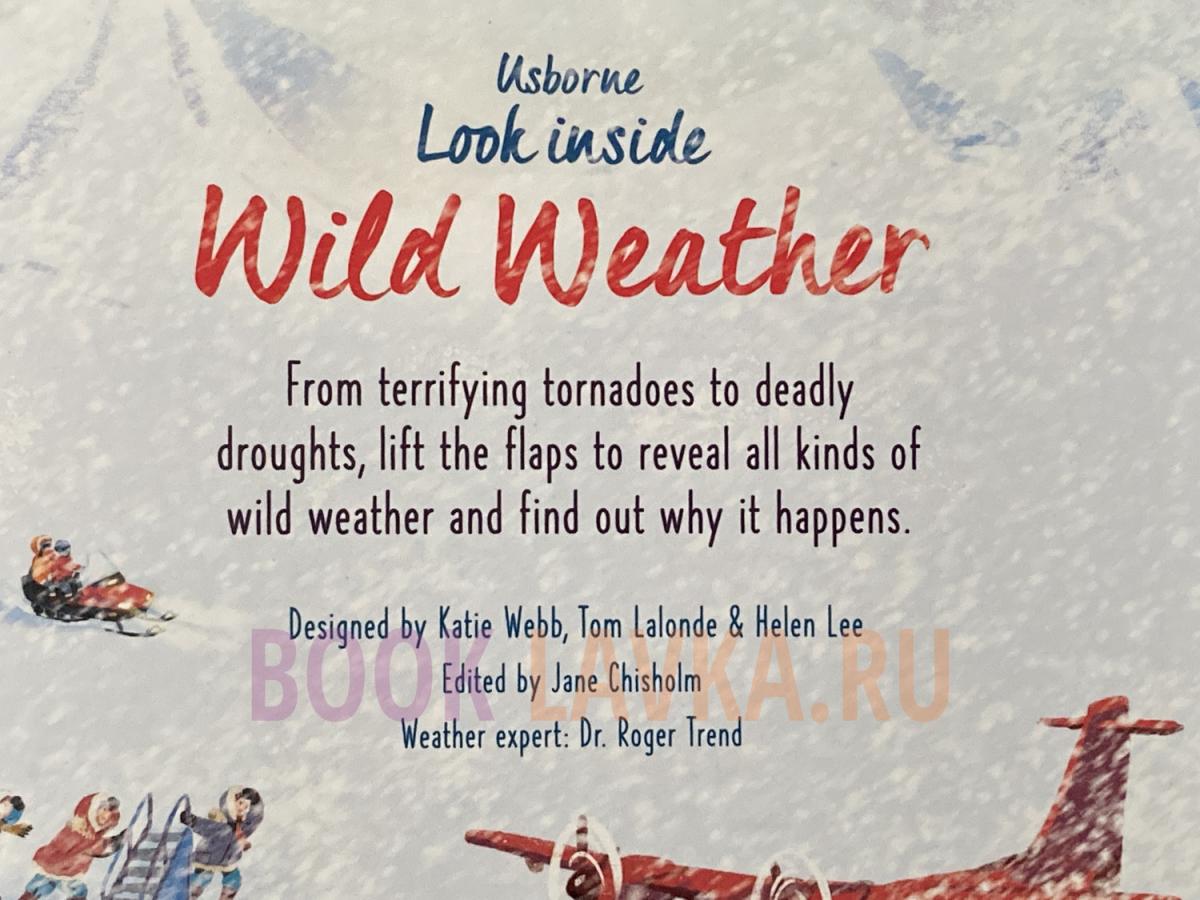 Look Inside Wild Weather – купить в интернет-магазине Booklavka (Буклавка)
