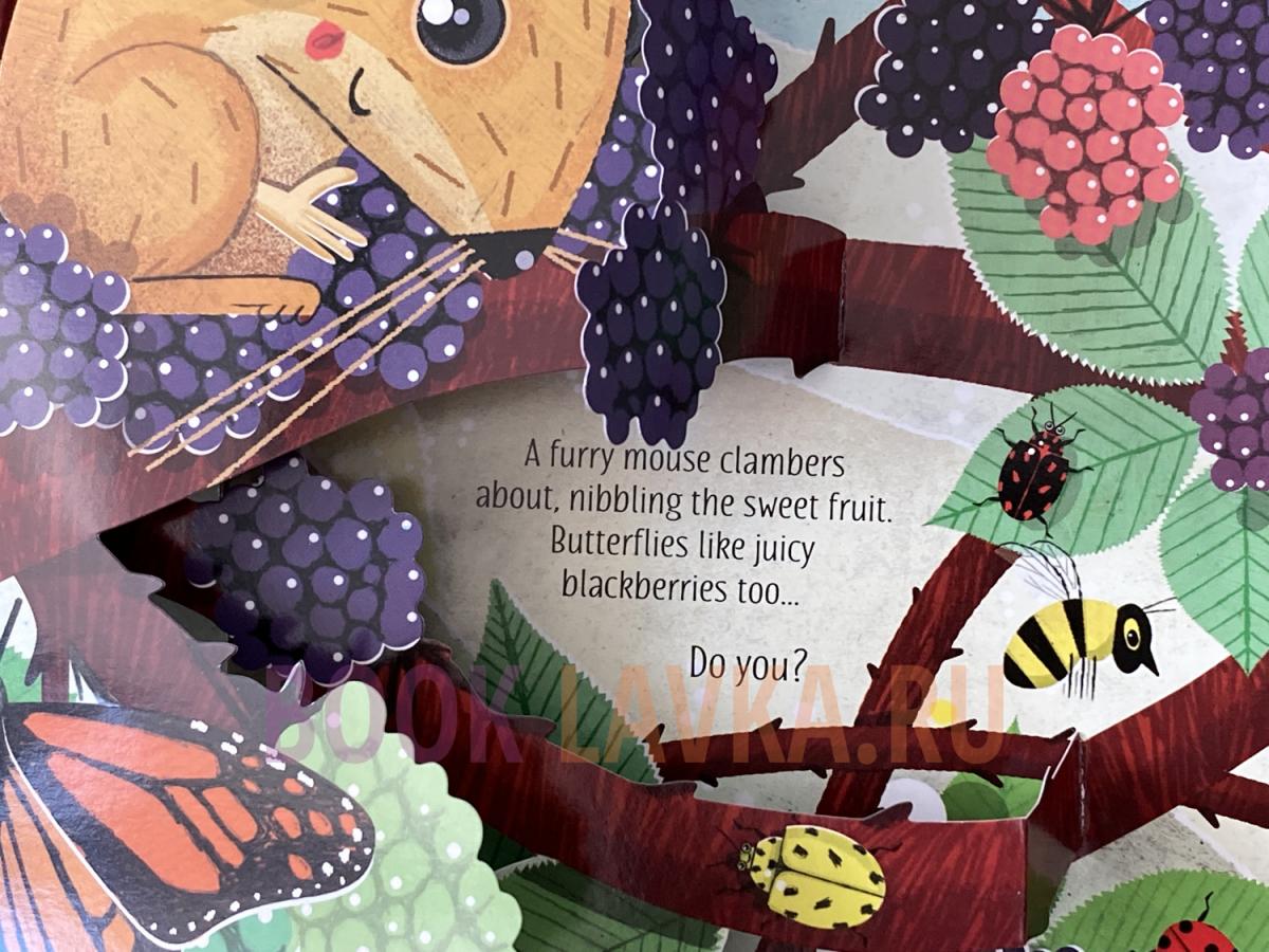Usborne Pop-Up: Nature – купить в интернет-магазине Booklavka (Буклавка)