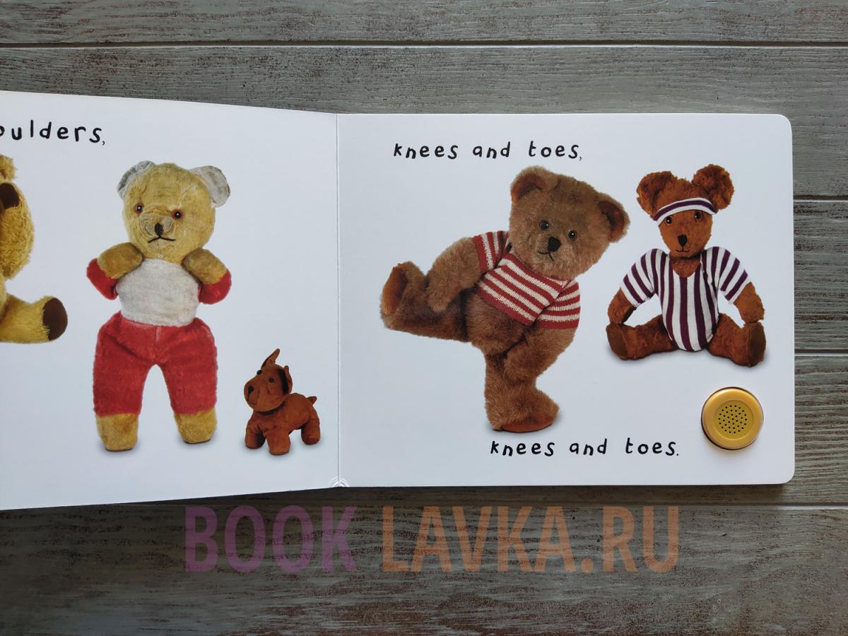 Head, Shoulders, Knees and Toes Sound book Teddy – купить в интернет ...